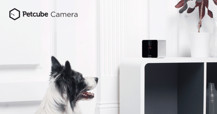 Best Home Security Systems for Pet Owners in 2023