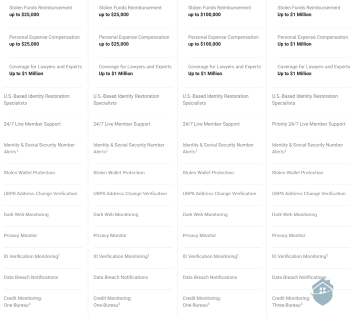 A 2025 Guide to Identity Theft Protection Services