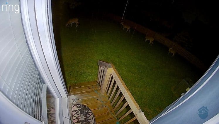 The Best Home Security Cameras of 2026