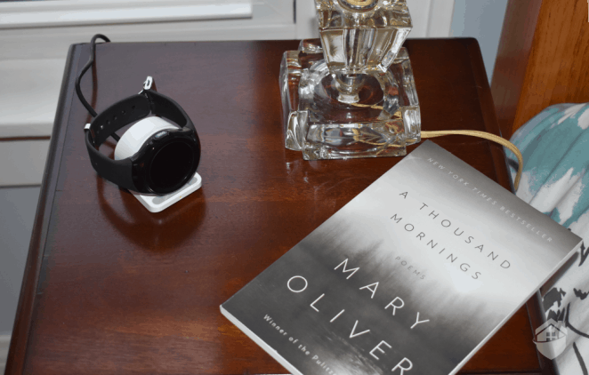 Bay Alarm Medical Review 2024 | SafeHome.org