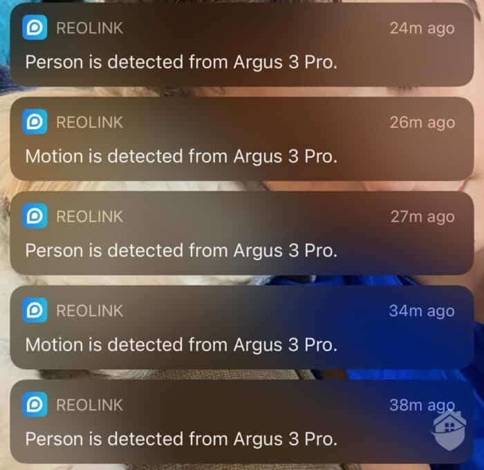 Reolink Argus 3 Pro Camera Review 2025