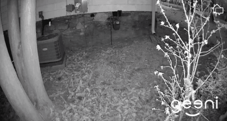 Geeni Security Cameras Review 2026