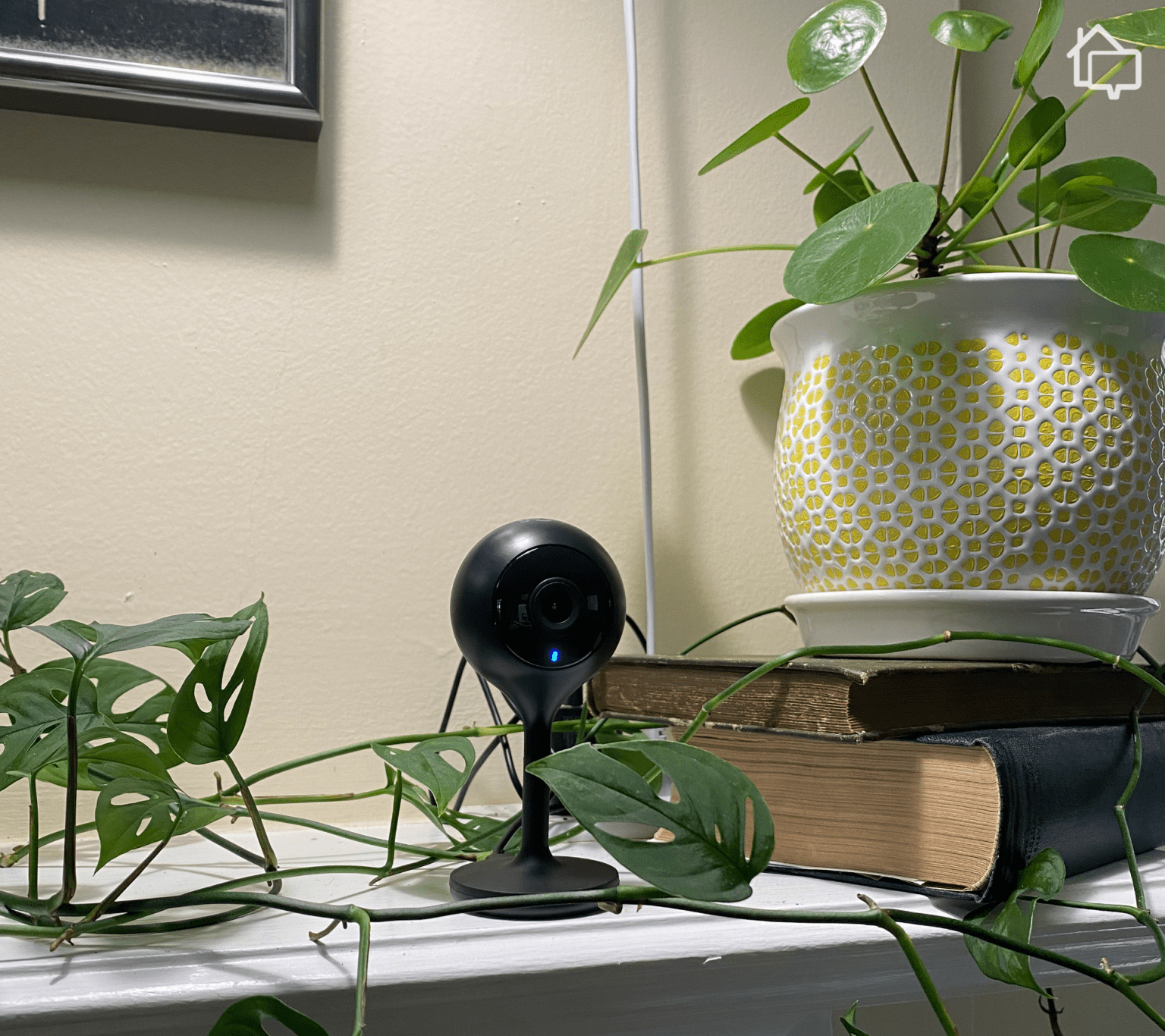 Geeni Security Cameras Review 2026