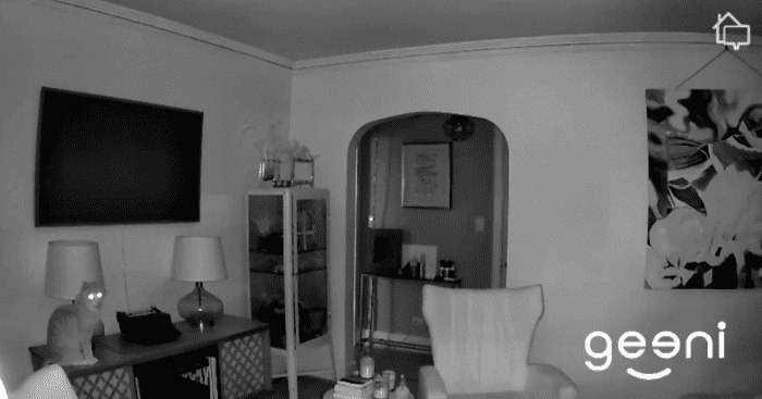 Geeni Security Cameras Review 2025