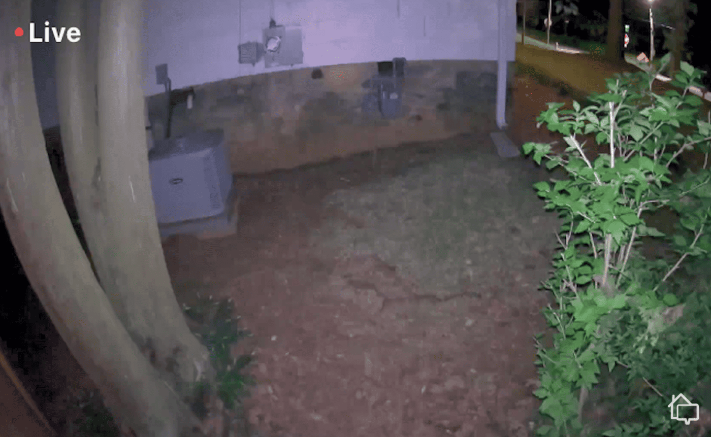 Best Cameras for Apartments in 2025: Expert-Tested & Approved