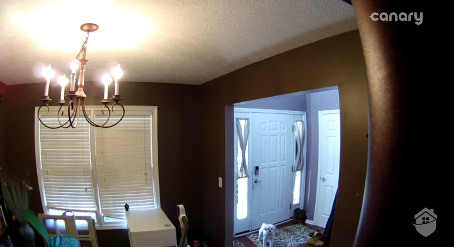 Canary Security Reviews 2020 | Read Our Canary Camera Review